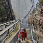 From Hobart: Gordon Dam and Lake Pedder Wilderness Day Tour - Morning Stop at Historic New Norfolk