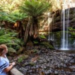 From Hobart: Mt. Field, Mt. Wellington and Wildlife Day Tour - The Practical Details: What You Need to Know