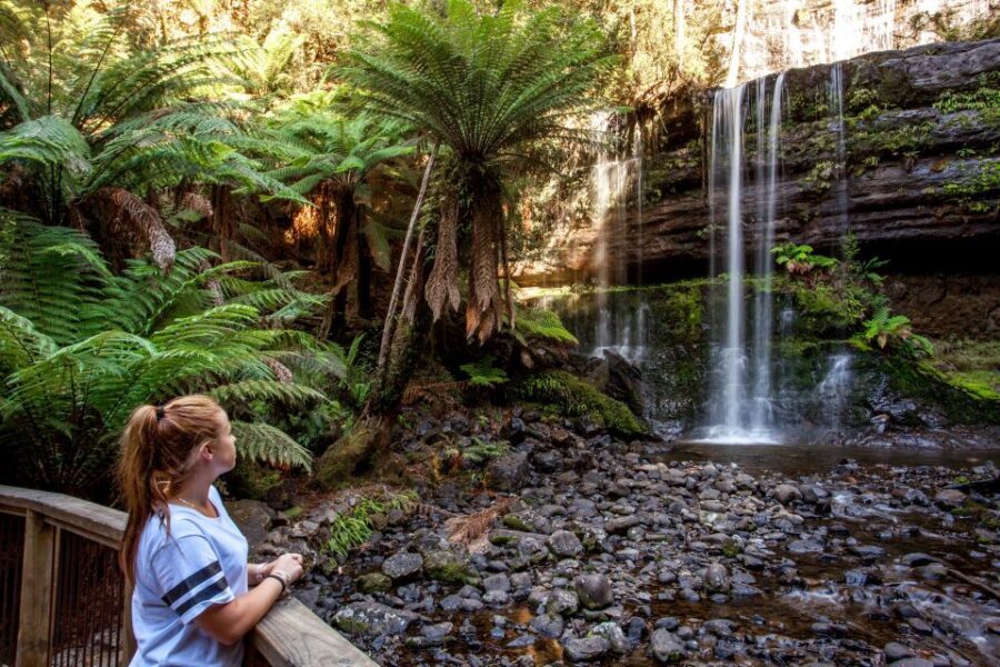 From Hobart: Mt. Field, Mt. Wellington and Wildlife Day Tour - The Practical Details: What You Need to Know