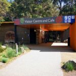 From Hobart: Mt. Field National Park and Russell Falls - An Overview of the Experience