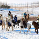 From Hohhot: 8-Day Inner Mongolia Private Tour to Ordos - Value and Practicality