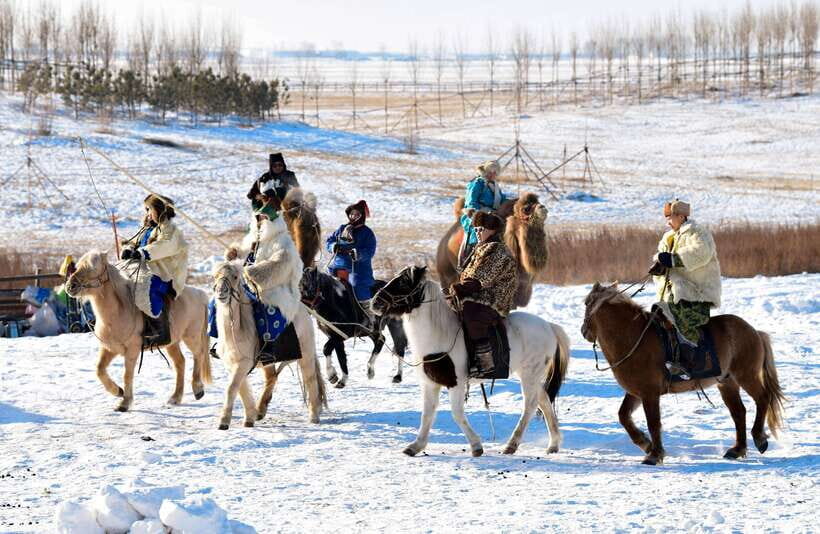From Hohhot: 8-Day Inner Mongolia Private Tour to Ordos - Value and Practicality