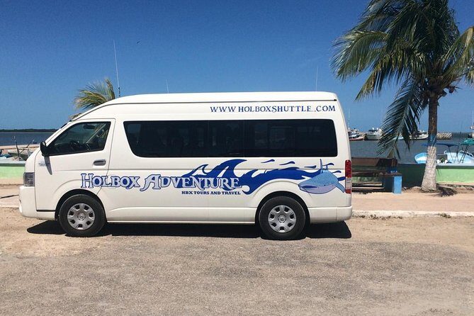 From Holbox to Cancun Private Transportation - Why This Service Works Well for Travelers