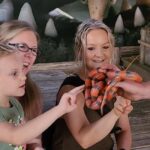 From Houston: Crocodile Encounter Entry Ticket - What You Can Expect from Your Visit