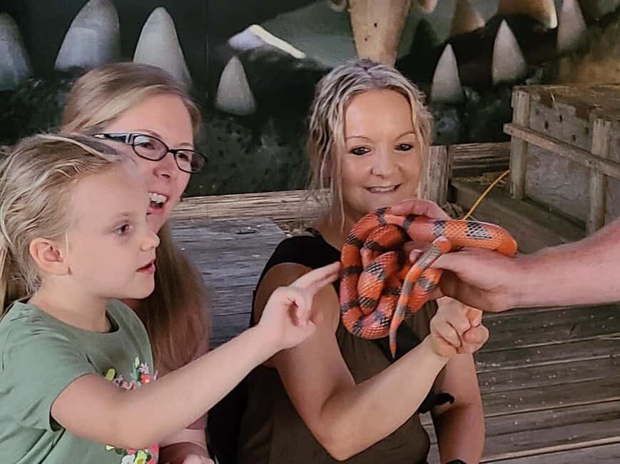 From Houston: Crocodile Encounter Entry Ticket - What You Can Expect from Your Visit
