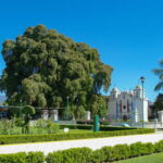 From Huatulco: 2 Days Excursion to Oaxaca City - Exploring Oaxaca in 2 Days: What to Expect