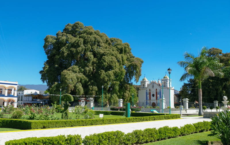 From Huatulco: 2 Days Excursion to Oaxaca City - Exploring Oaxaca in 2 Days: What to Expect