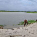 From Huatulco: Beach Horseback Riding Experience - Practical Details and Value