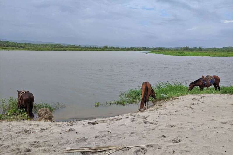 From Huatulco: Beach Horseback Riding Experience - Practical Details and Value