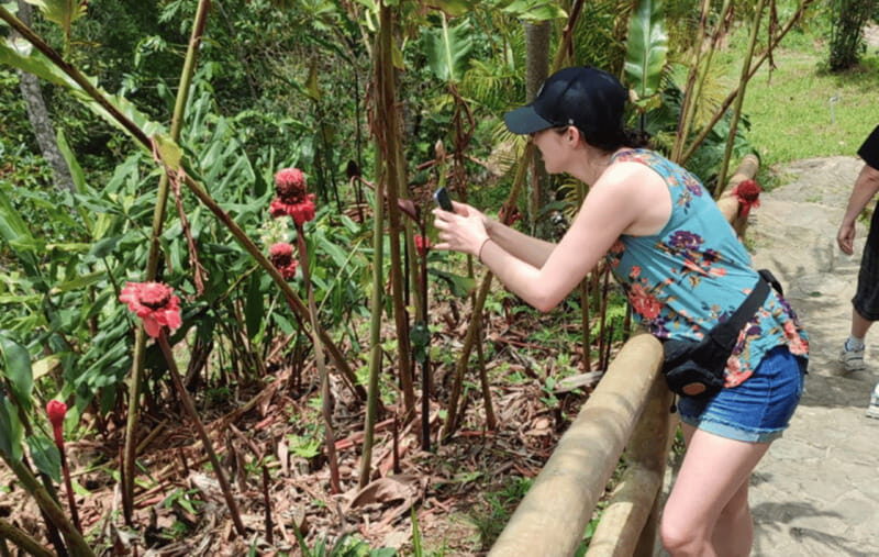 From Huatulco: Coffee and Mezcal Tour - Journey into Oaxaca’s Mountain Life