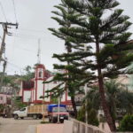 From Huatulco: Coffee Private Experience - Why You’ll Love This Tour