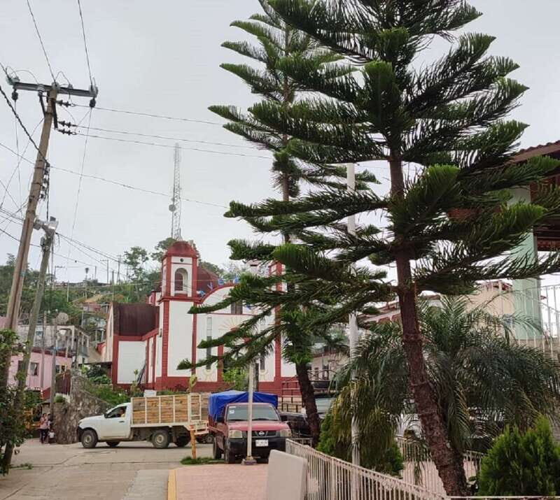 From Huatulco: Coffee Private Experience - Why You’ll Love This Tour