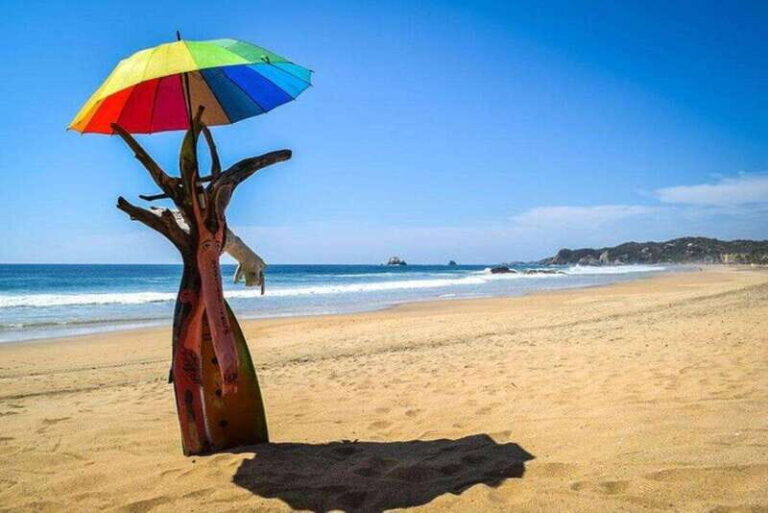 From Huatulco: Zipolite Adult Beach Day Trip - The Value of This Tour