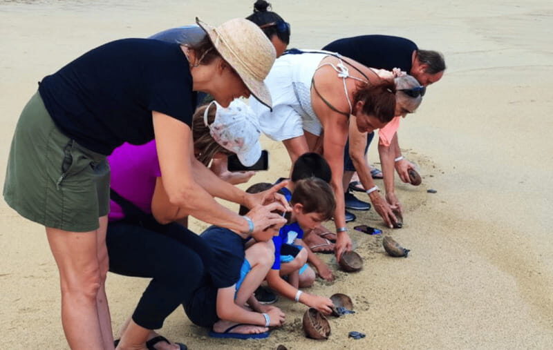 From Huatulco:Turtle Release and Bioluminescence Tour - Detailed Look at the Tour Experience
