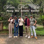 From Hue: Botanic Garden, Paradise Cave, and Dark Cave Tour - Why This Tour Stands Out