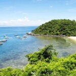 From Hue: Cham Island Boat Trip Full Day - Practical Tips for Your Trip