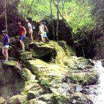 From Hue/Da Nang/Hoi An: Bach Ma National Park Trekking Tour - Authentic Experiences and Guides