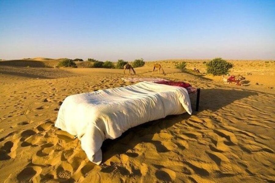 From Jaisalmer: Private Trip Under Stars with Camel Safari - What’s Included and What’s Not