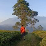 From Jakarta : Java Island To Bali Island 14 Day (Private Tour) - Exploring Java’s Cultural Heartland – Yogyakarta and Surroundings