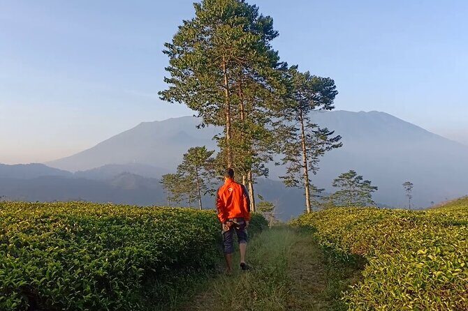 From Jakarta : Java Island To Bali Island 14 Day (Private Tour) - Exploring Java’s Cultural Heartland – Yogyakarta and Surroundings