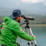 From Jasper: Jasper National Park Wildlife Discovery Tour - The Role of the Guide: More Than Just Animal Spotting
