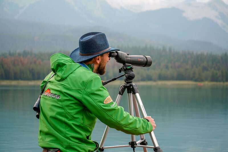 From Jasper: Jasper National Park Wildlife Discovery Tour - The Role of the Guide: More Than Just Animal Spotting