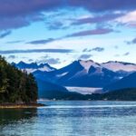 From Juneau: Whale Watching Cruise with Snacks - Authentic and Enthusiastic Feedback