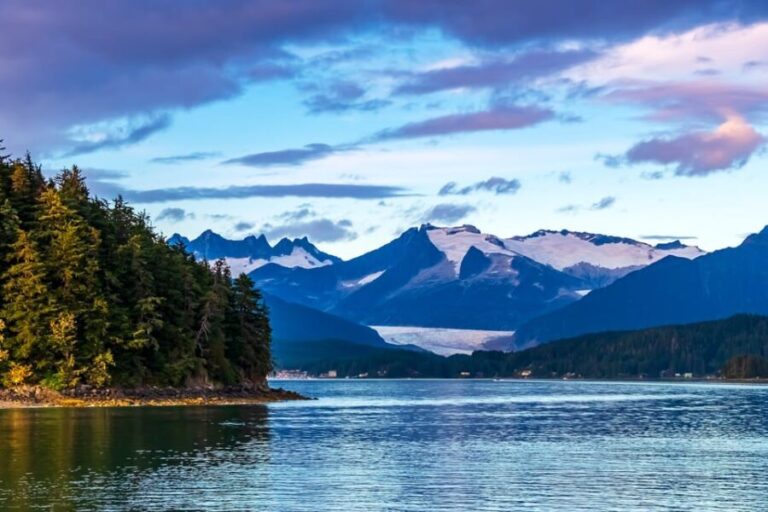 From Juneau: Whale Watching Cruise with Snacks - Authentic and Enthusiastic Feedback