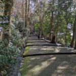 From Kanazawa: Temples, Panoramic Landscape and Butterflies - What Makes This Tour Stand Out