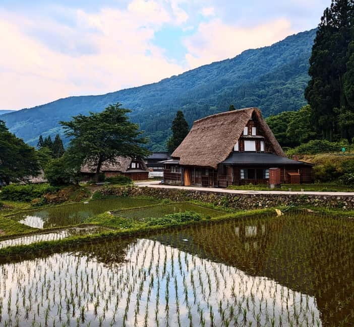 From Kanazawa: Tonami Tulip Festival and UNESCO Gokayama - Is It Worth the Price?