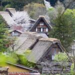 From Kanazawa/Toyama: Shirakawago and Takayama Day Tour - What Makes This Tour Stand Out