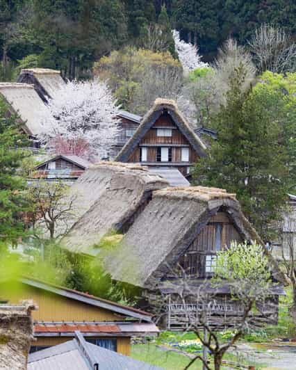 From Kanazawa/Toyama: Shirakawago and Takayama Day Tour - What Makes This Tour Stand Out