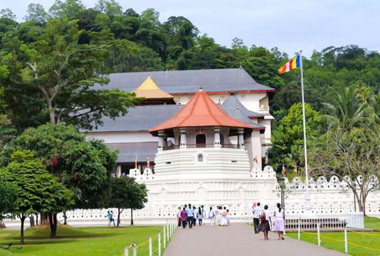 From Kandy: All Inclusive Full-Day Tour in Kandy - Private