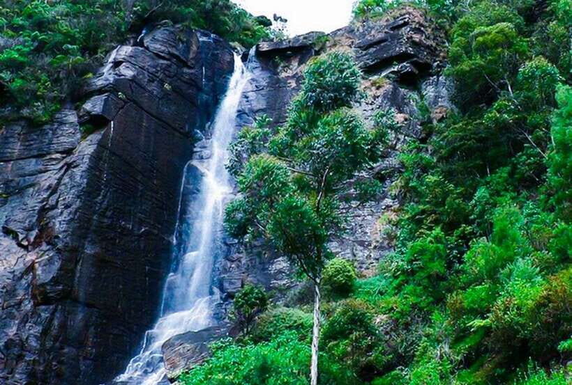From Kandy: All Inclusive Nuwara Eliya Day Tour with Lunch - Who Would Enjoy This Tour?
