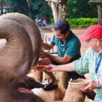 From Kandy: Pinnawala and Botanical Garden Tour By Tuk Tuk - Spices and Herbal Garden: Engaging the Senses