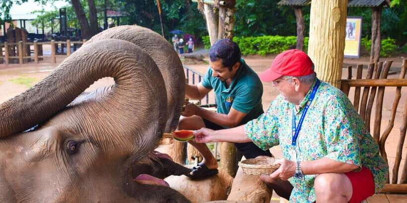 From Kandy: Pinnawala and Botanical Garden Tour By Tuk Tuk - Spices and Herbal Garden: Engaging the Senses