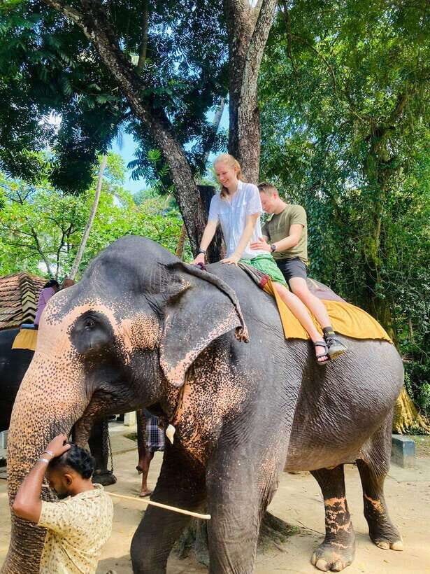 From Kandy : Pinnawala Elephant Orphanage & Ambuluwawa Tower - Authenticity, Value, and Practical Tips