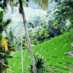 From Kandy: Private Guided Hike to Heeloya - What Makes This Tour Stand Out?