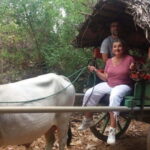 From Kandy: Sigiriya and Pidurangala Rock Tuk Tuk Day Tour - Evaluating the Value