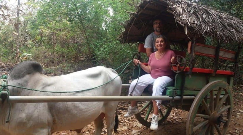 From Kandy: Sigiriya and Pidurangala Rock Tuk Tuk Day Tour - Evaluating the Value