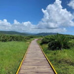 From Kaohsiung: Kenting & Ocean Coast Private Day Tour - Why This Tour Is Worth It