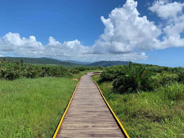 From Kaohsiung: Kenting & Ocean Coast Private Day Tour - Why This Tour Is Worth It