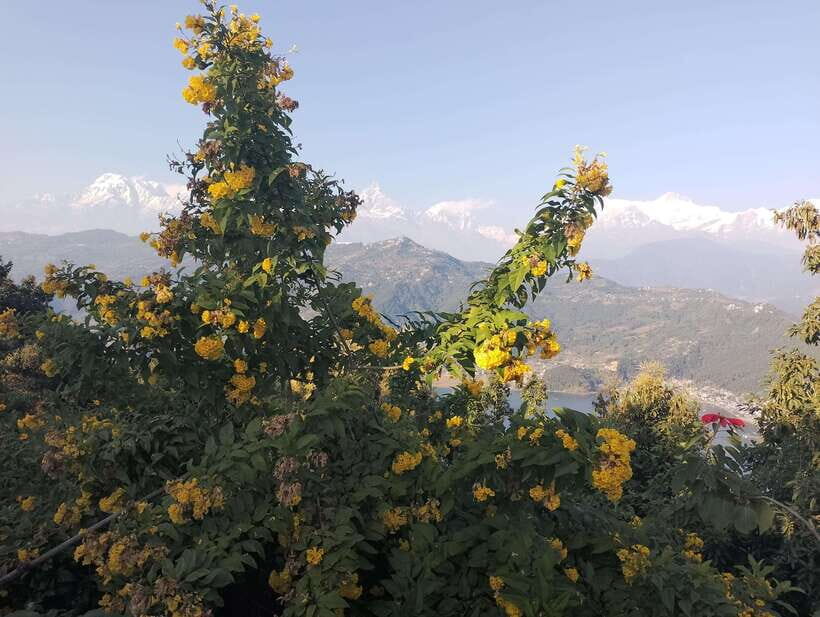 From Kathmandu: 10-Day Tour of Nepal with Accommodation - Visiting Patan and Bhaktapur