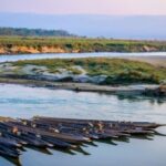 From Kathmandu: 3-Day Chitwan National Park & Elephants Tour - Detailed Tour Breakdown