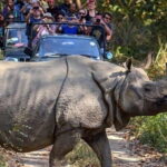 From Kathmandu: 4-Day Chitwan National Park Tour - What’s Included & Not Included