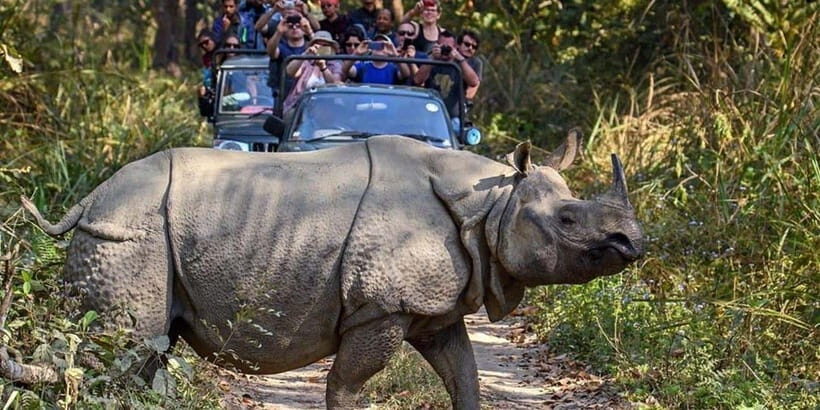 From Kathmandu: 4-Day Chitwan National Park Tour - What’s Included & Not Included