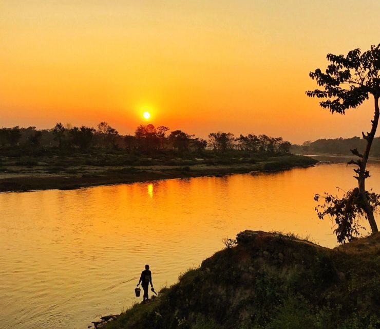 From Kathmandu/Pokhara: 3 Day All-Inclusive Chitwan Safari - What Makes This Tour Stand Out
