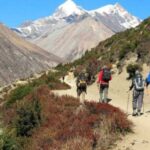 From Kathmandu/Pokhara: 9-Day Annapurna Circuit Trek - The Itinerary in Detail
