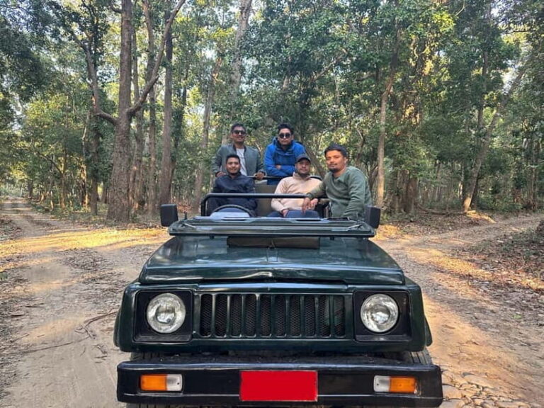 From Kathmandu/Pokhara: Bardiya National Park 4-Day Tour - Who Will Love This Tour?