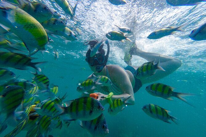 From Khao Lak : Phi Phi Islands Adventure Day Trip with Lunch - Comfort, Logistics, and Group Dynamics